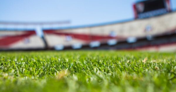 Découverte des niveaux de football en France : le guide ultime ⚽🇫🇷